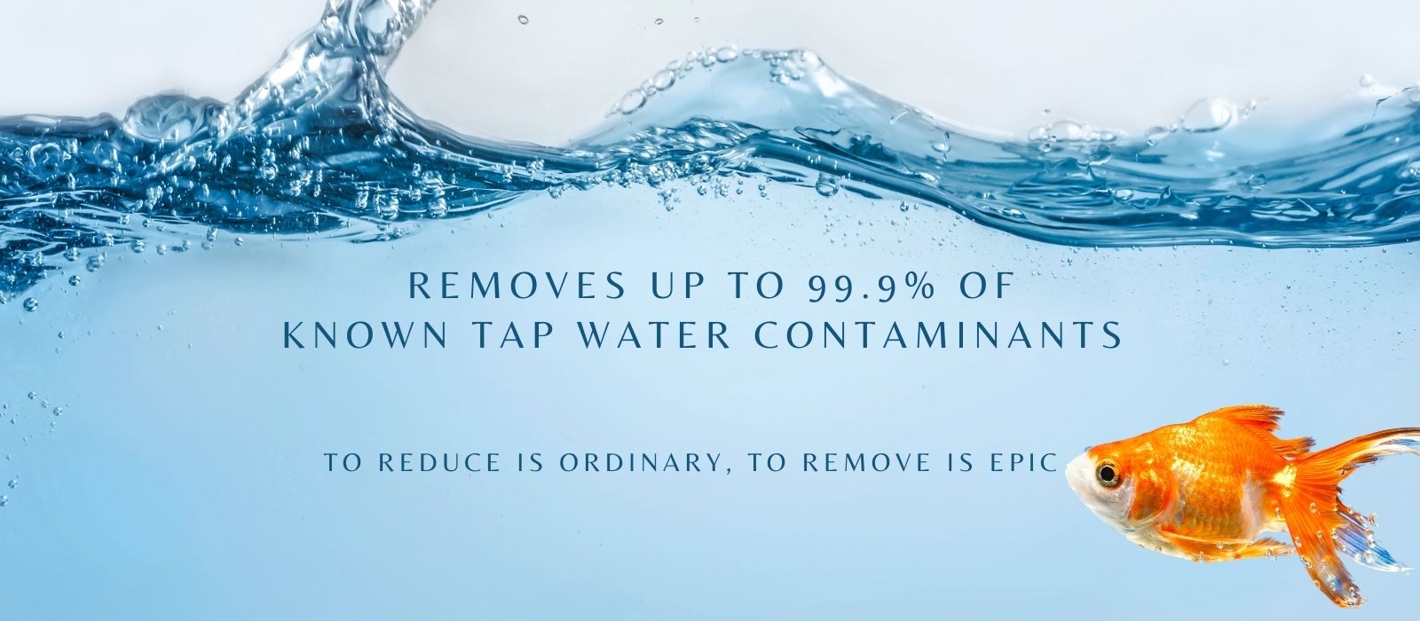 Epic Water Filters | American-made | Certified against NSF/ANSI Stds ...